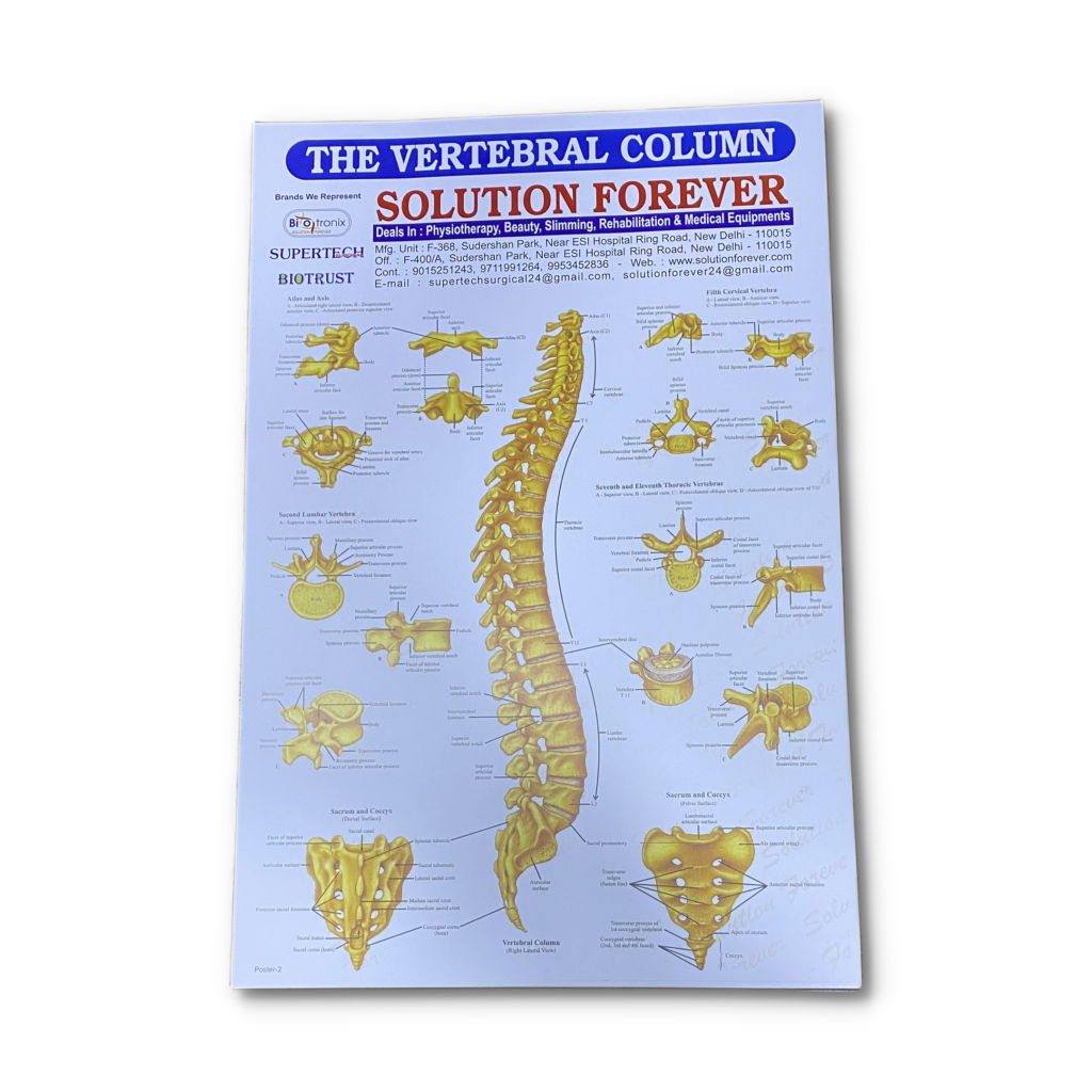 Clinic Chart Set 6 Different Wall Pasted for Physiotherapy ...